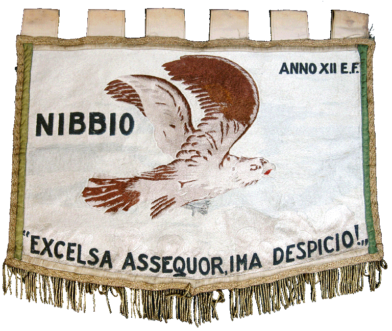 Corsi NIBBIO